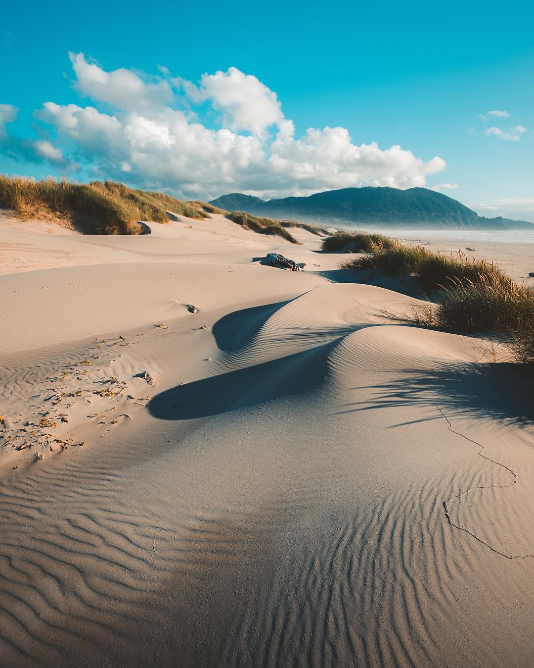 Nehalem Bay State Park Visit Garibaldi Oregon Get Away From It All In